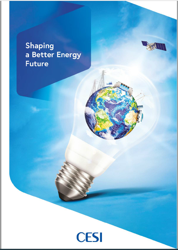 CESI | Testing & Certification Services